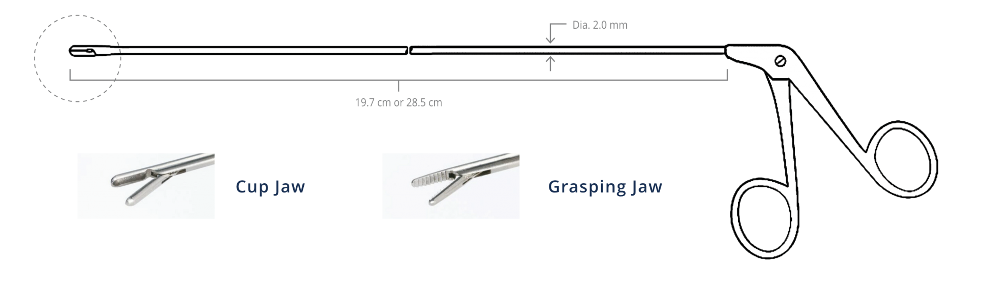 Neuro - Clarus Medical LLC