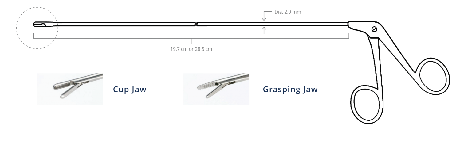Neuro 2024 - Clarus Medical LLC